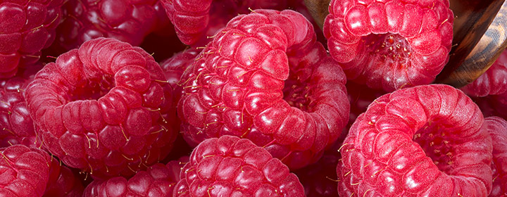 Raspberry Compote - Pentagöet Inn