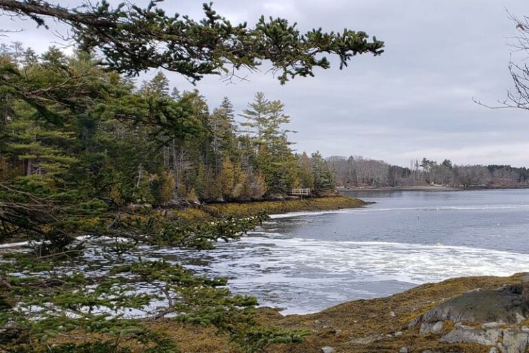 Discover Holbrook Island Sanctuary - Pentagöet Inn